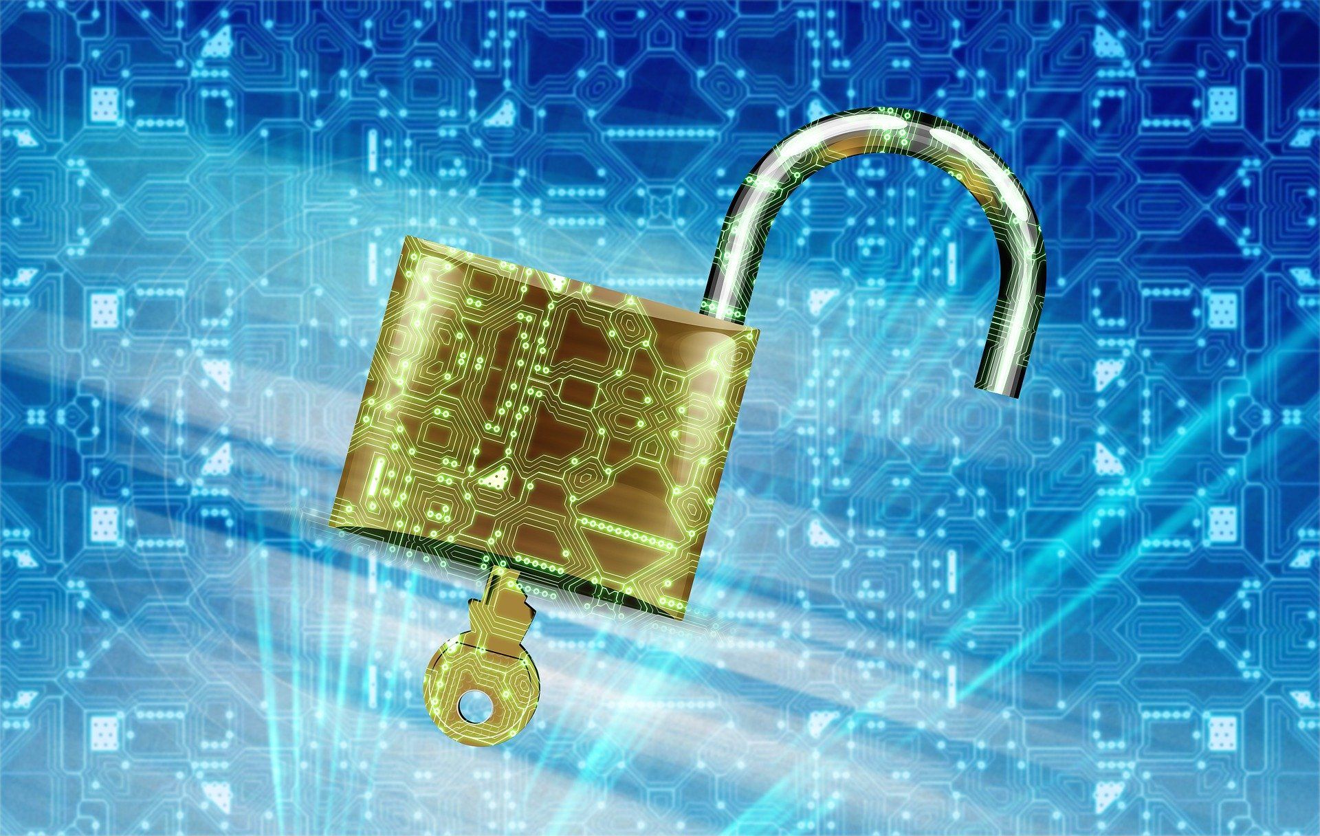 Le language hacking : apprendre les 6000 mots les plus courants ...